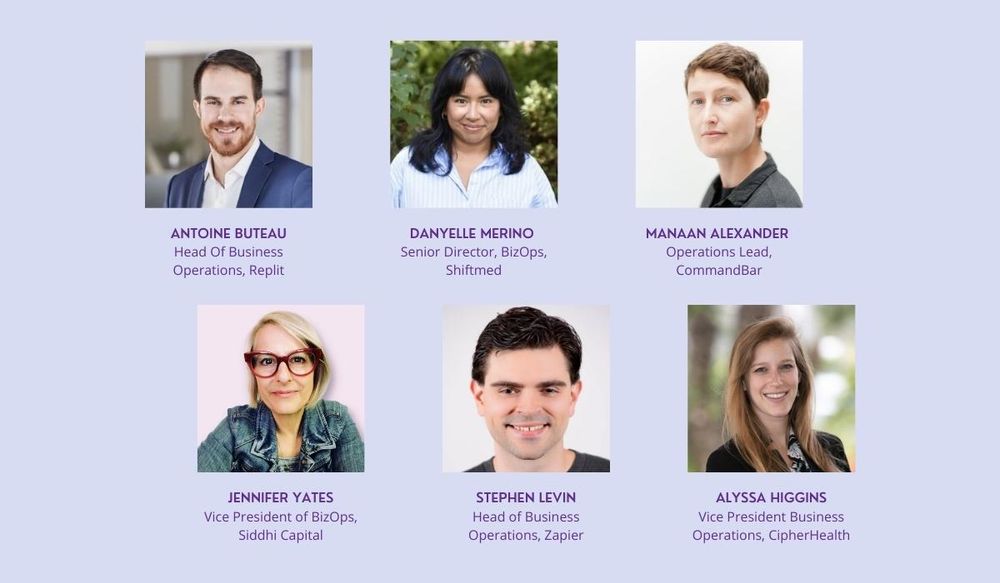 Guide to Business Operations (BizOps)